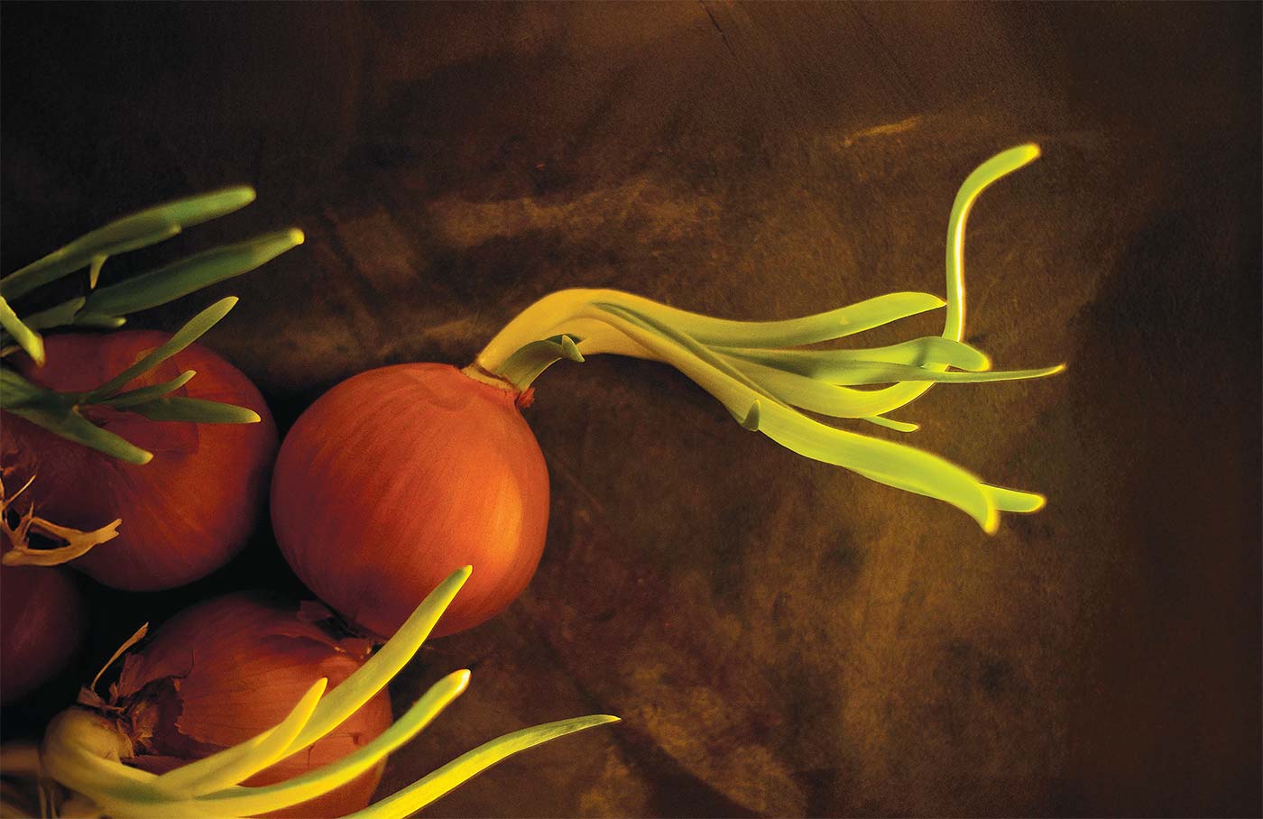 Welcome to Edible Ojai & Ventura County - Edible Ojai & Ventura County