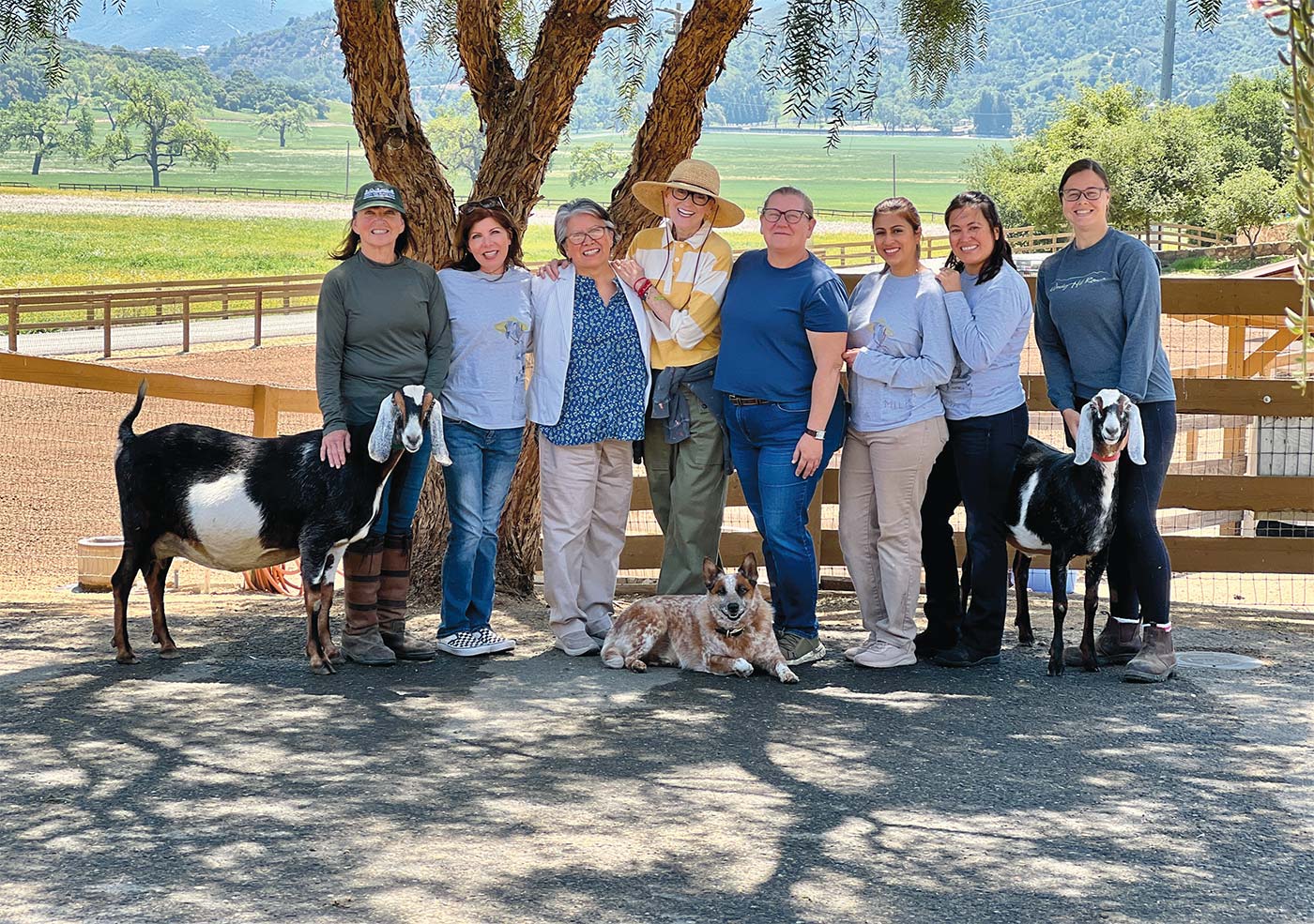 From Stable To Table: The Fenwick Farms Foods Story - Edible Ojai ...